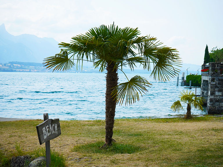 Badis rund um den Thunersee | Thunersee Blog