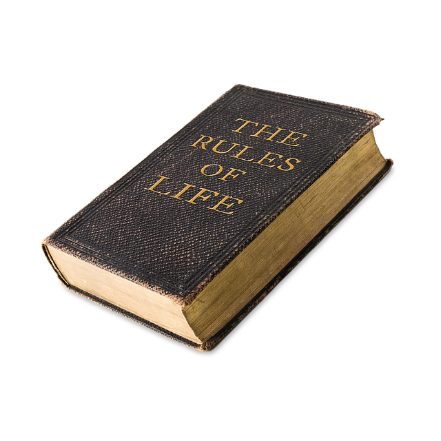 Our Thinking What Should We Include In The Definitive Workplace Rules our-thinking-what-should-we-include-in-the-definitive-workplace-rules