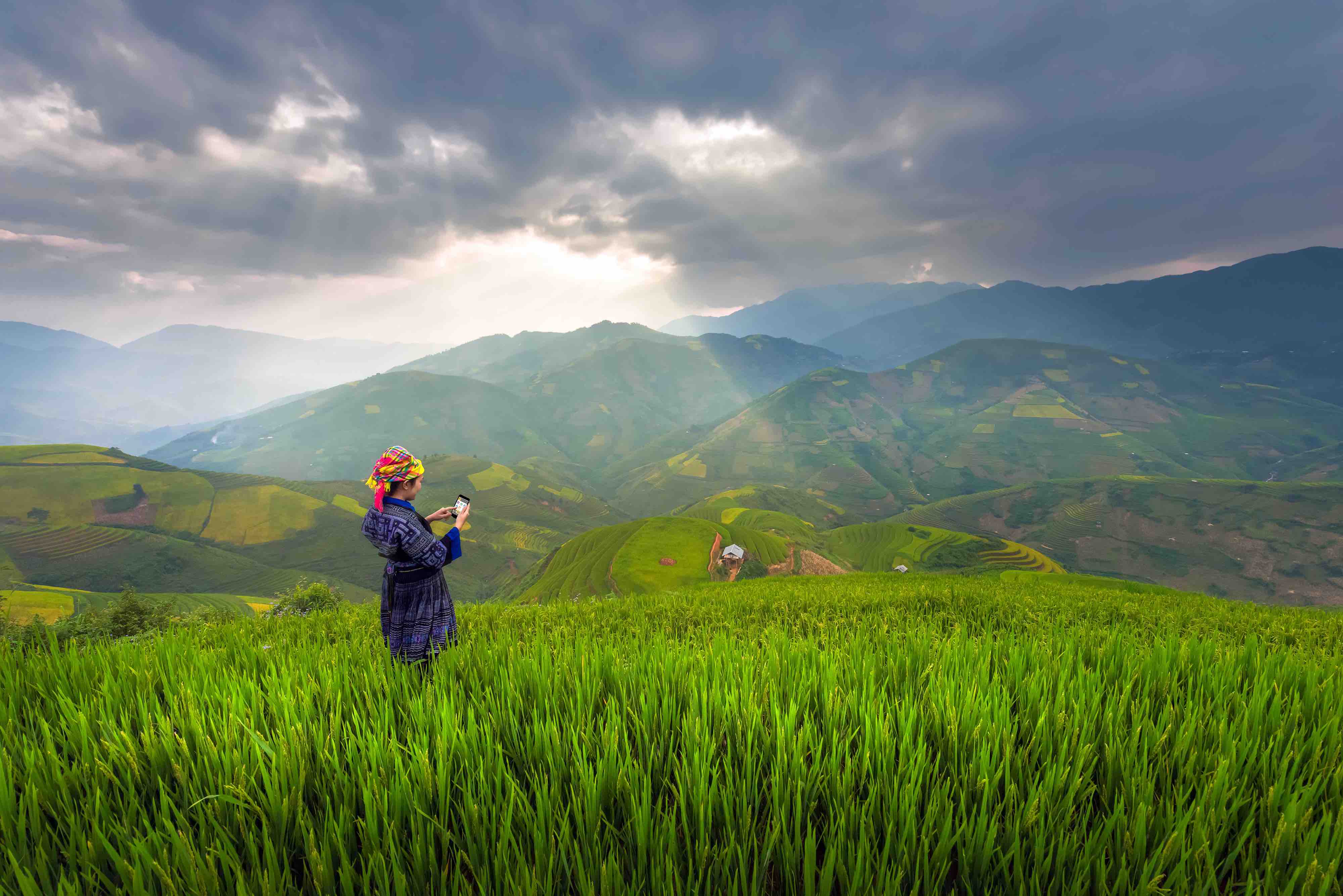 Transforming Smallholder Farmer Communities with Digital Tools