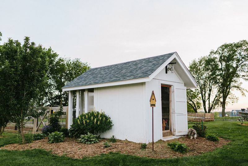 The Farm