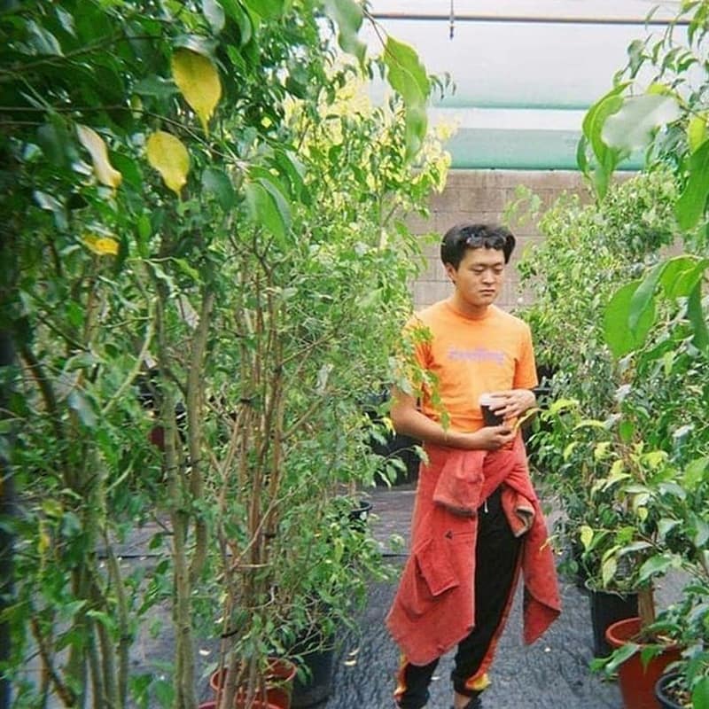 NiceGoblins_Collective