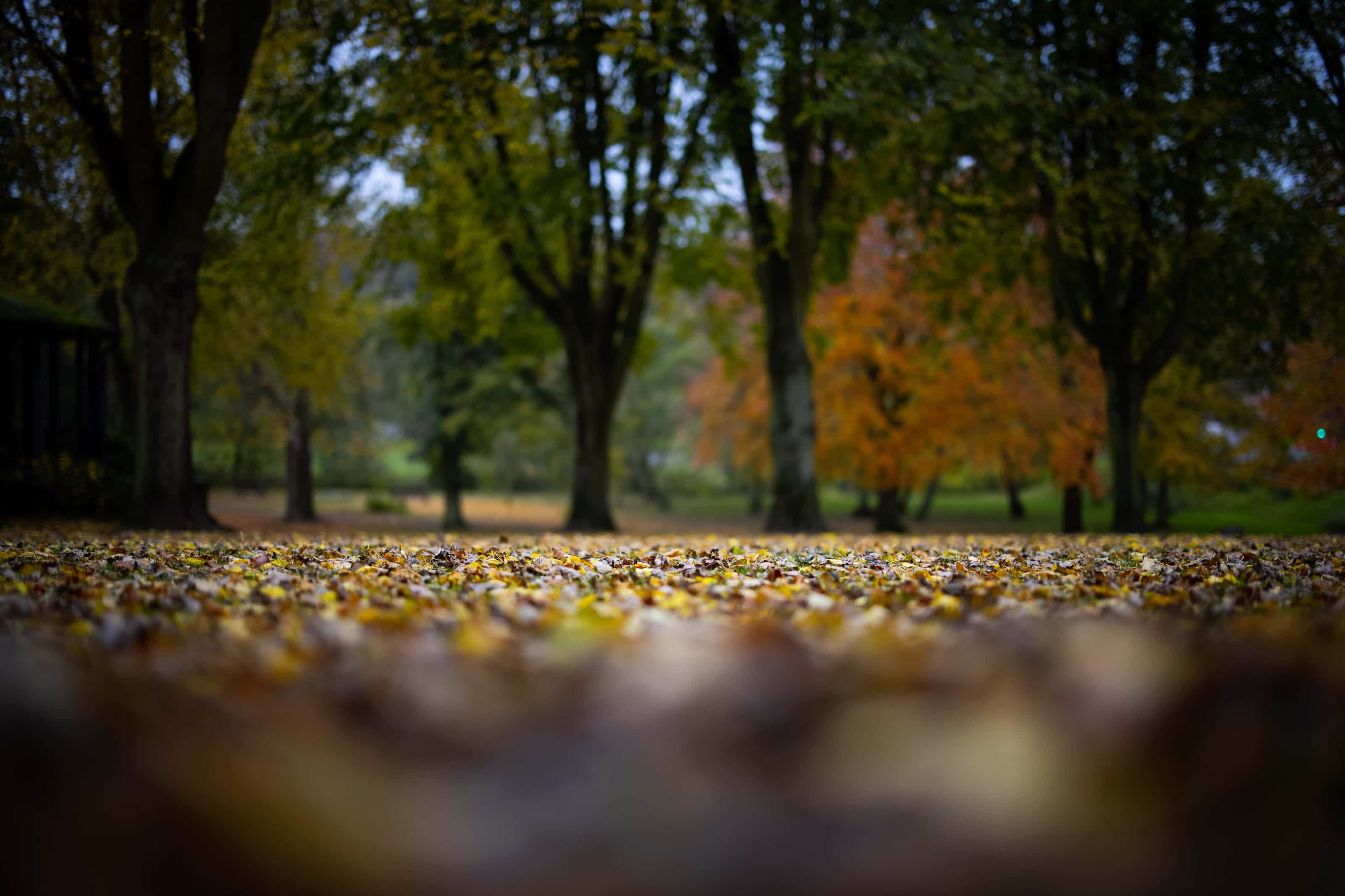 Plan Your Visit - Discover Ashbourne