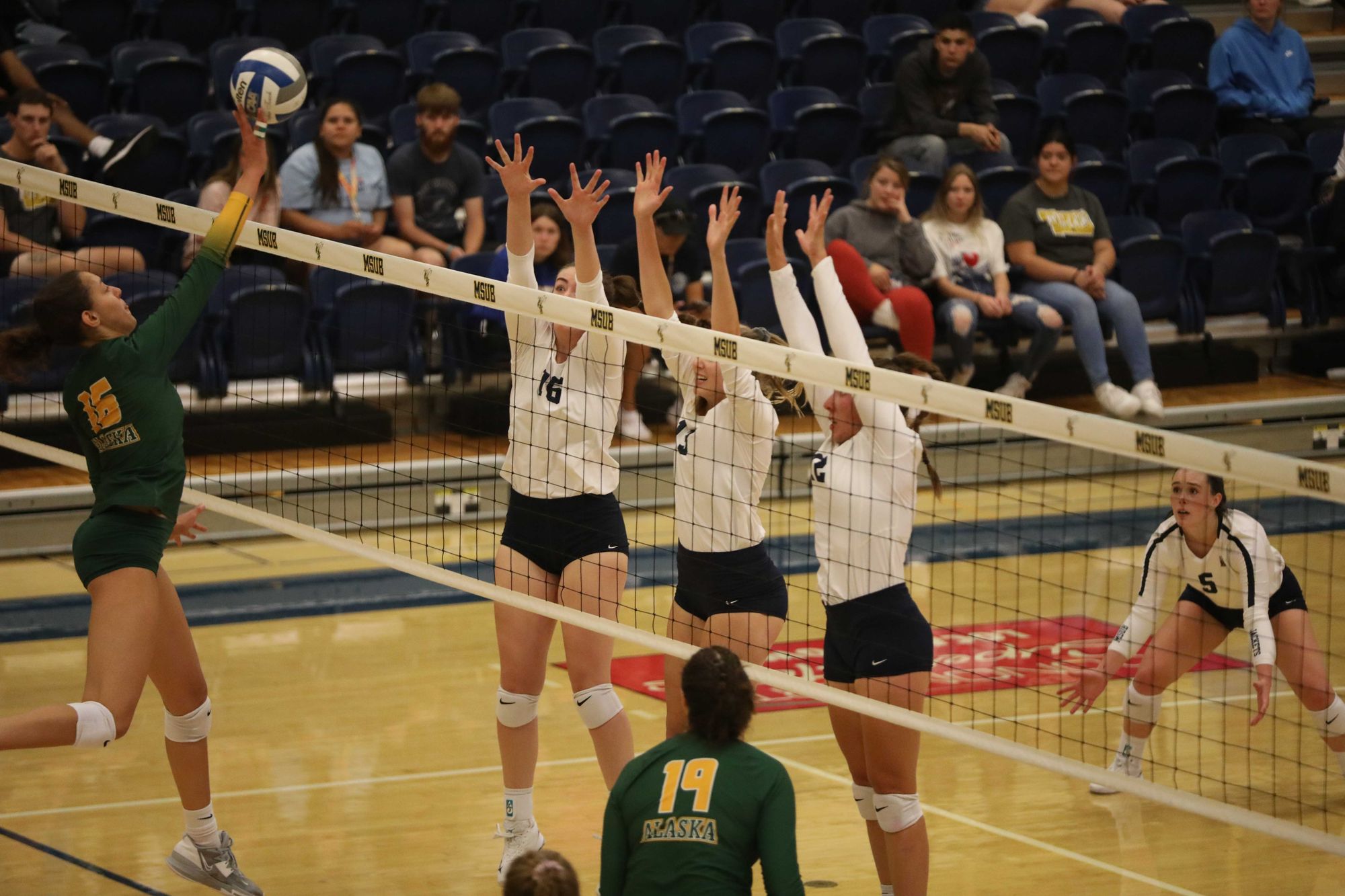 Seawolves volleyball fights to stay undefeated in GNAC conference after ...
