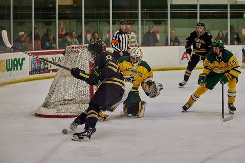 Seawolves hockey secures an overtime win over Lindenwood in final game ...