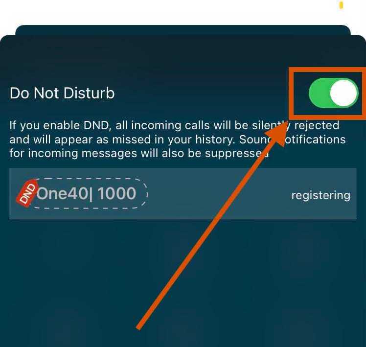 Set Mobile App to Do Not Disturb (DND)