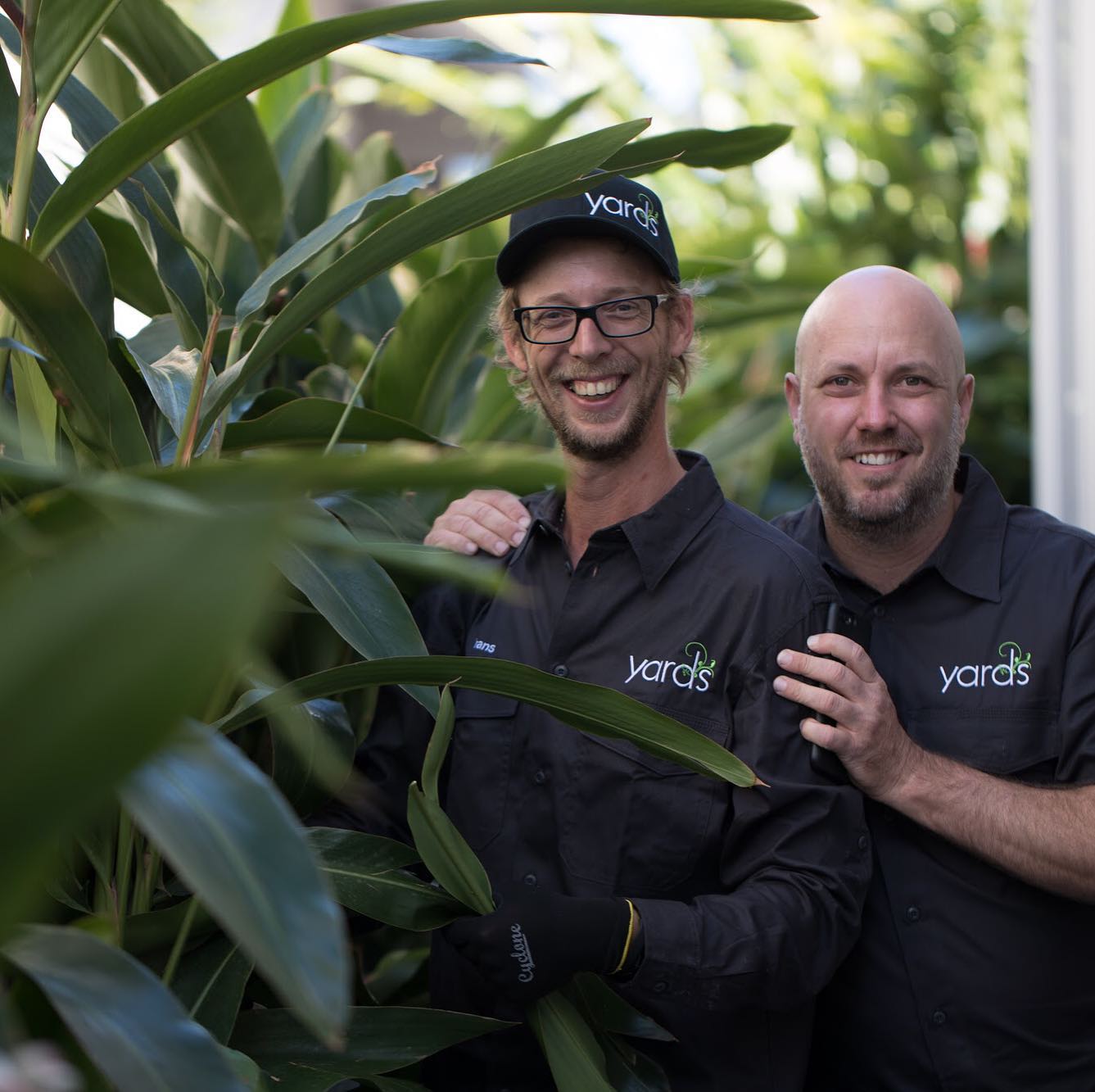 Yards | Complete garden care for beautiful gardens