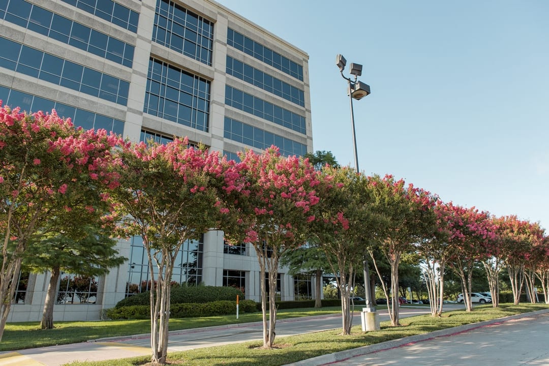 Commercial Landscaping l Monarch Landscape Companies