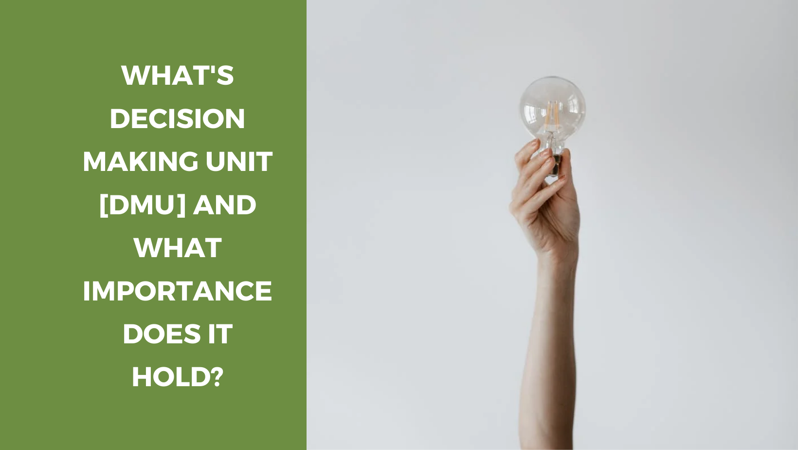 What's Decision Making Unit [DMU] And What Importance Does It Hold?