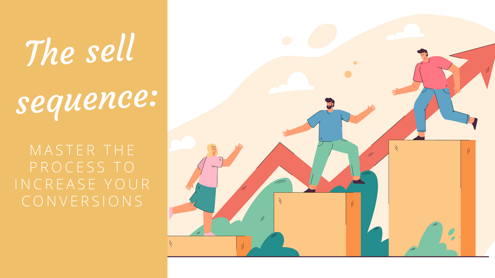 The Sell Sequence: Master The Process To Increase Your Conversions