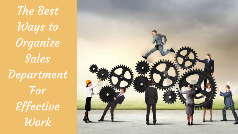 The Best Ways To Organize Sales Department For Effective Work