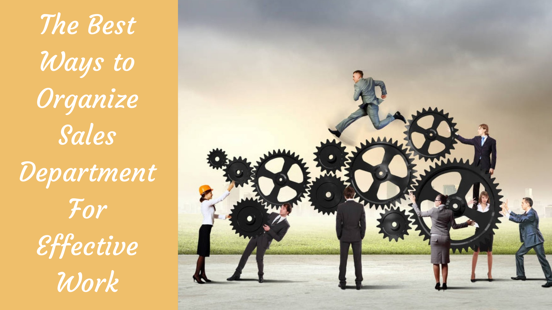 The Best Ways To Organize Sales Department For Effective Work