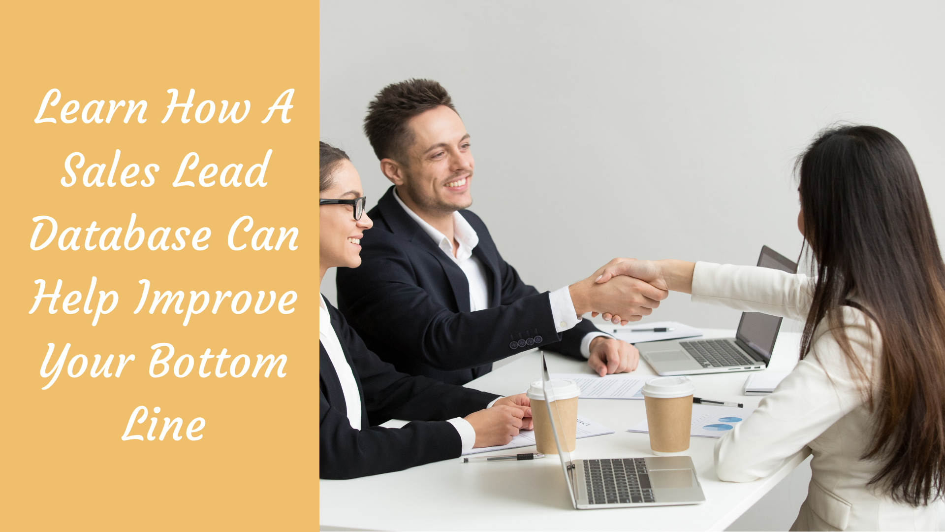 Learn How A Sales Lead Database Can Help Improve Your Bottom Line