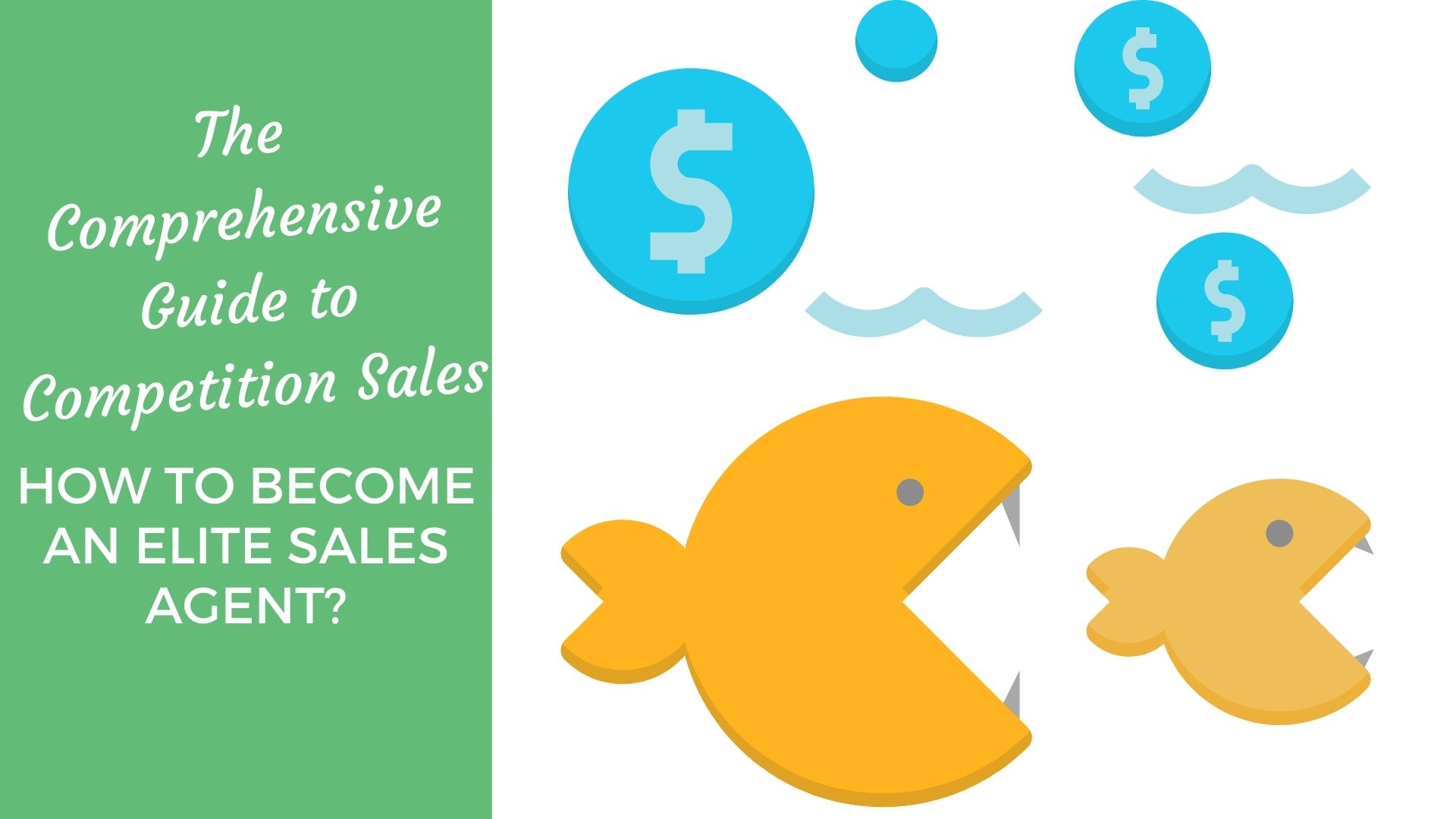 The Comprehensive Guide To Competition Sales: How To Become An Elite ...