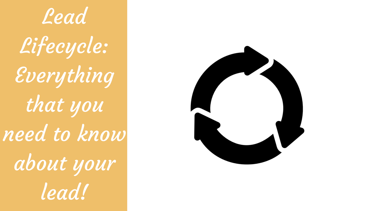 Lead Lifecycle: Everything That You Need To Know About Your Lead!