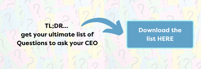 Questions to ask a CEO