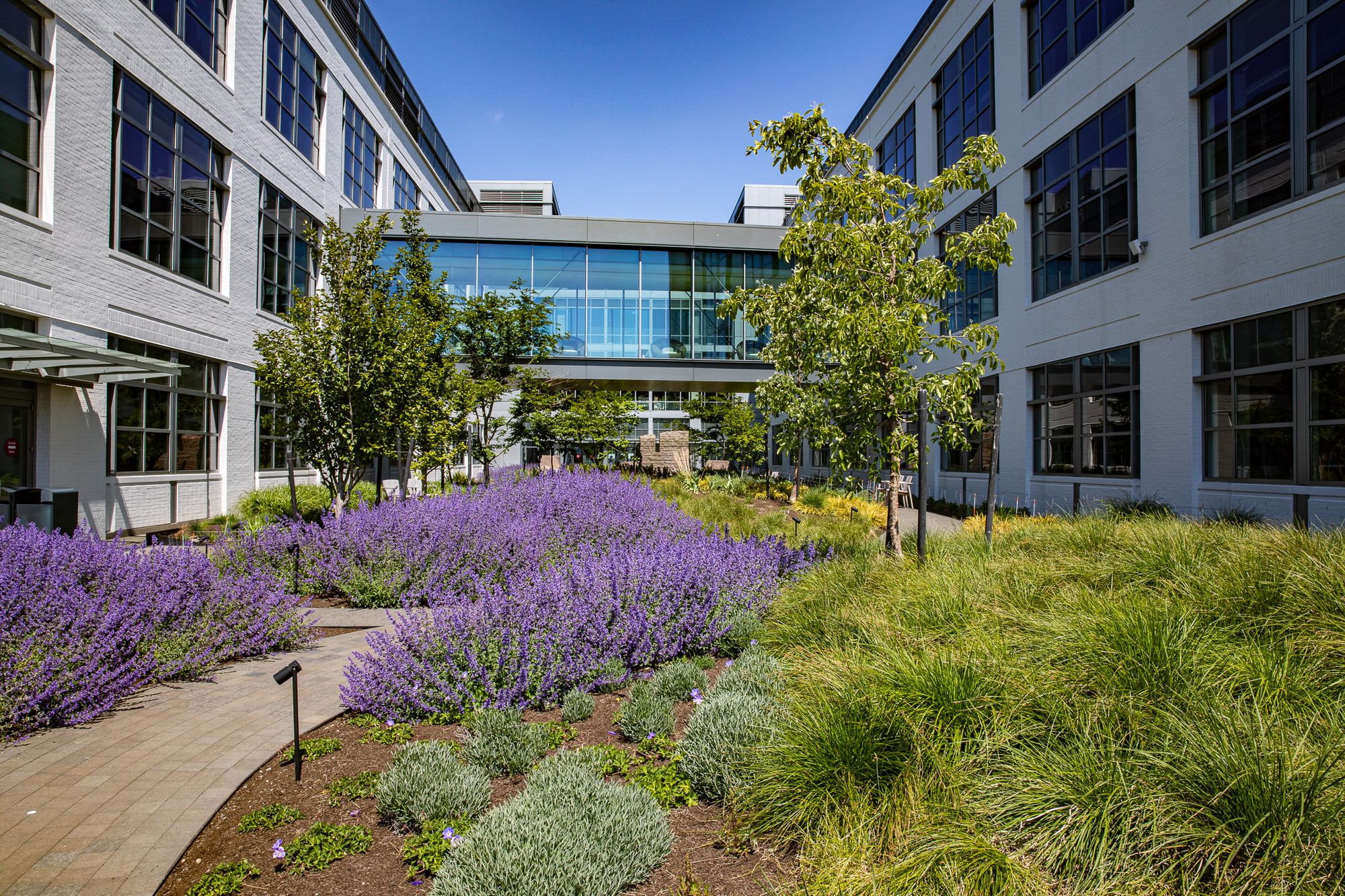 Monarch Landscape Companies Blog