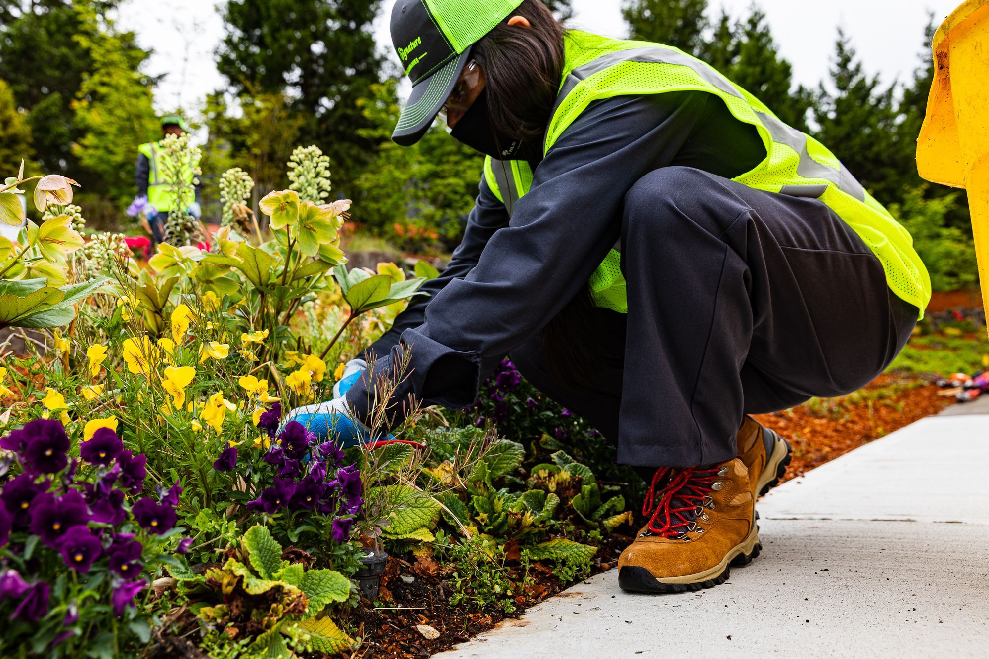 Monarch Landscape Companies Blog