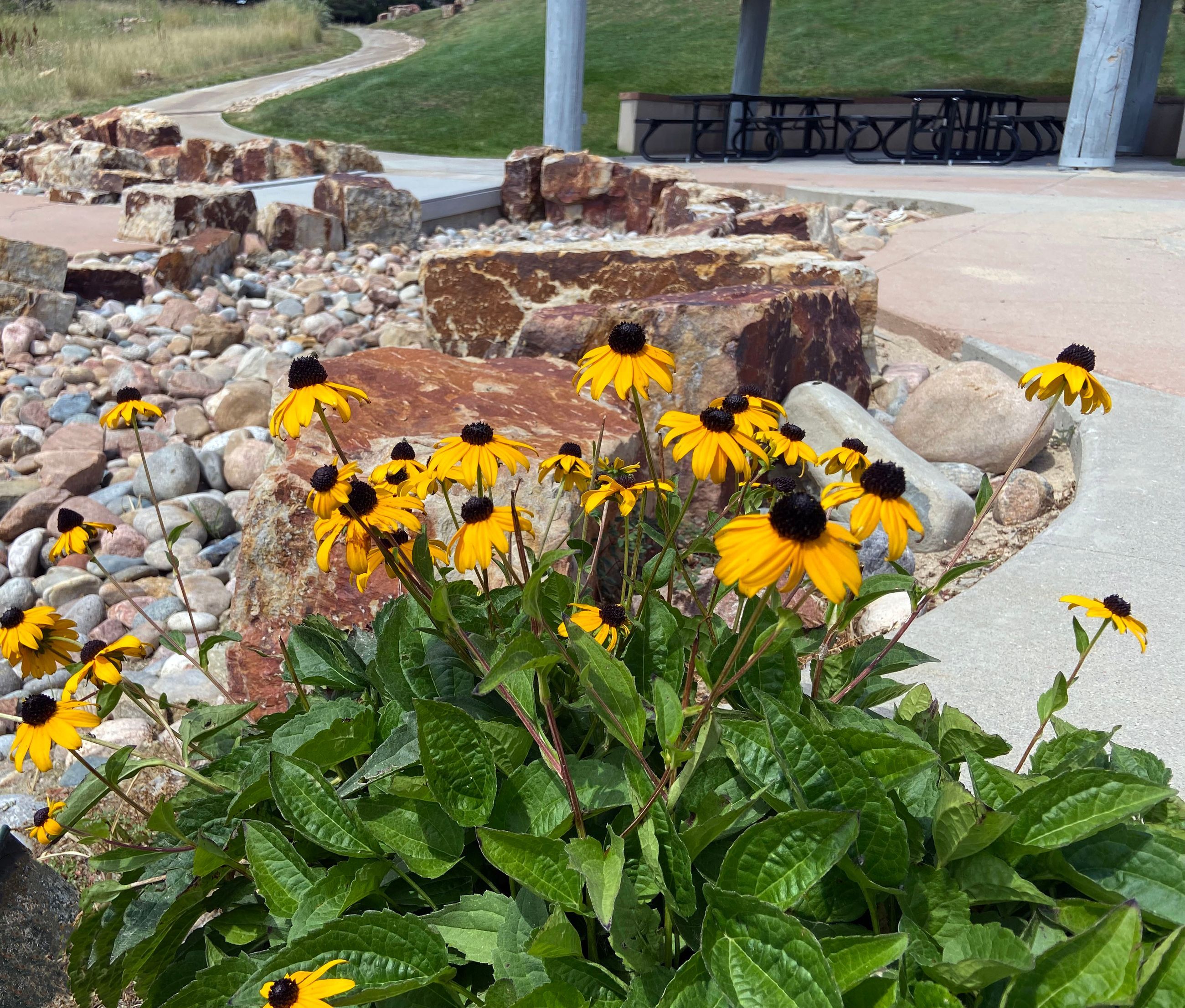 Monarch Landscape Companies Blog