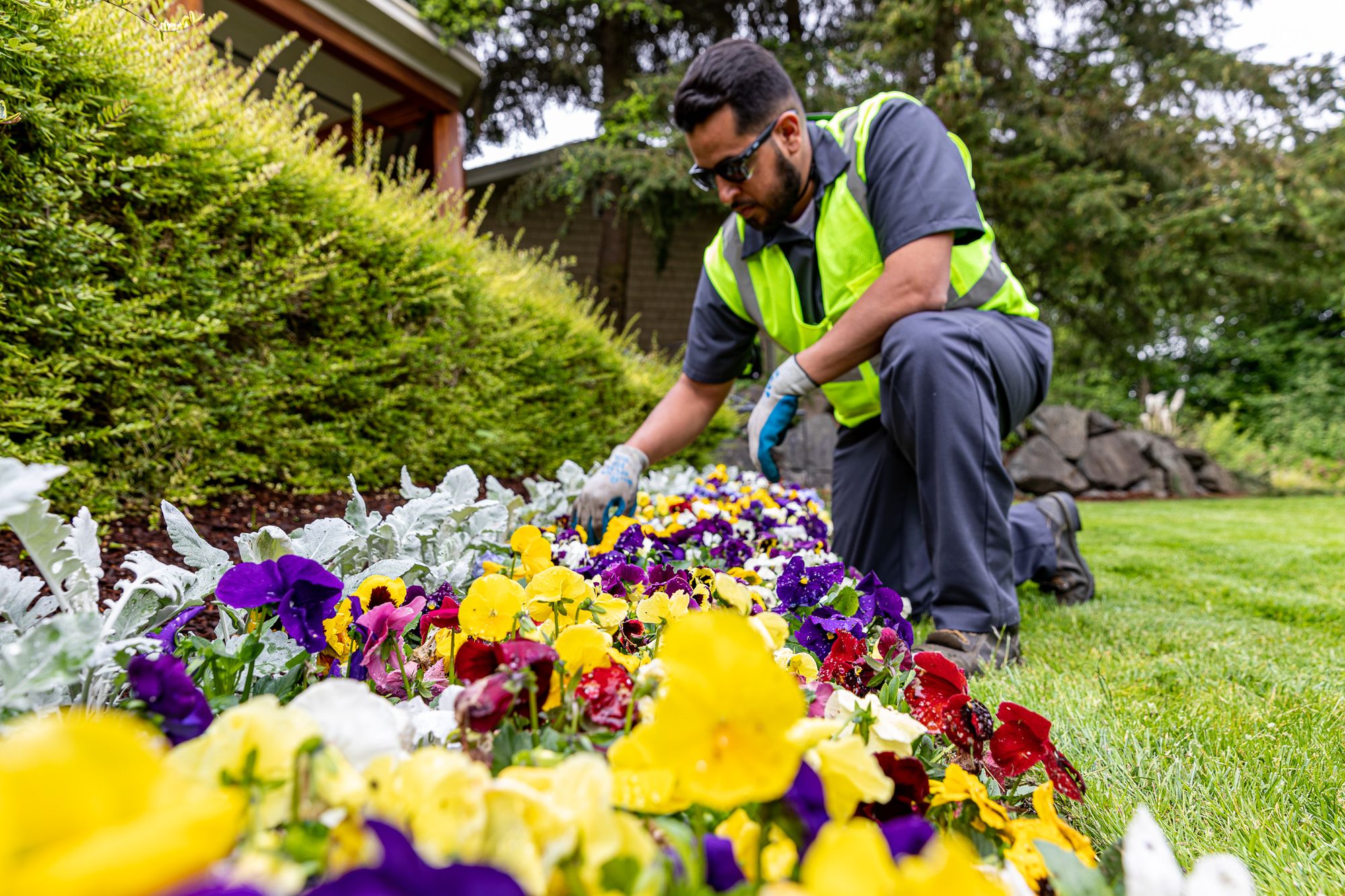 Monarch Landscape Companies Blog