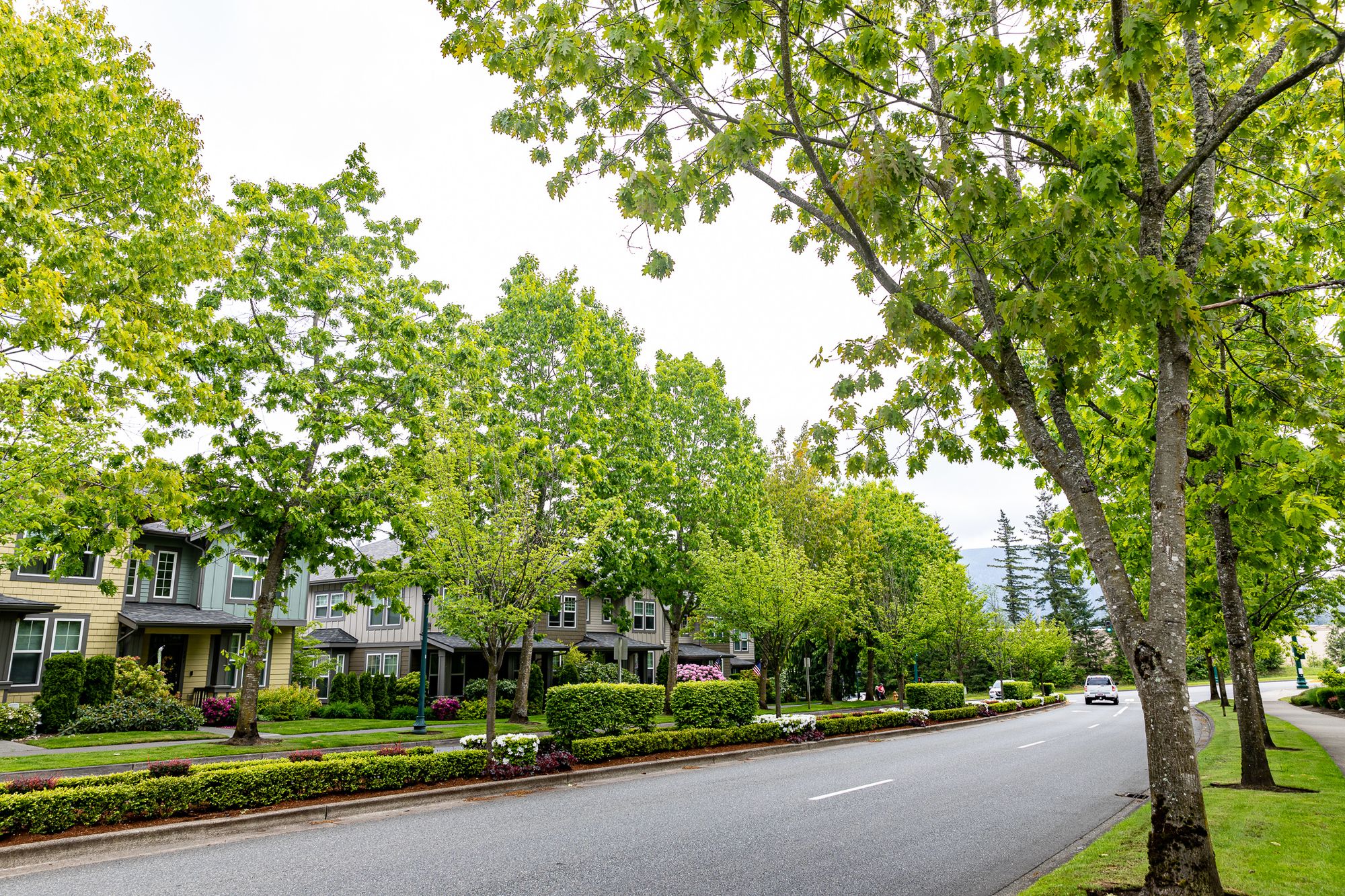 Monarch Landscape Companies Blog