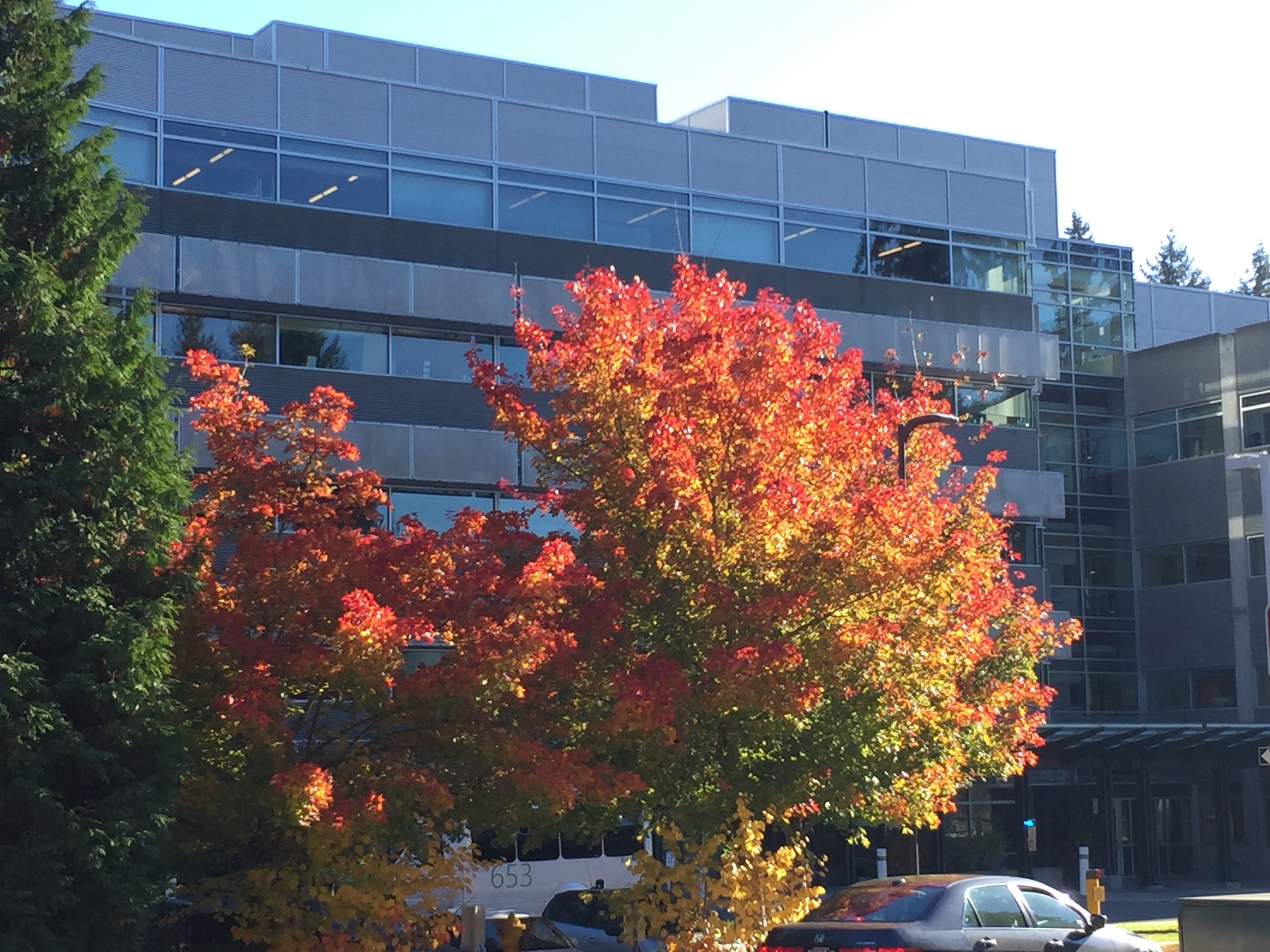 Monarch Landscape Companies Blog