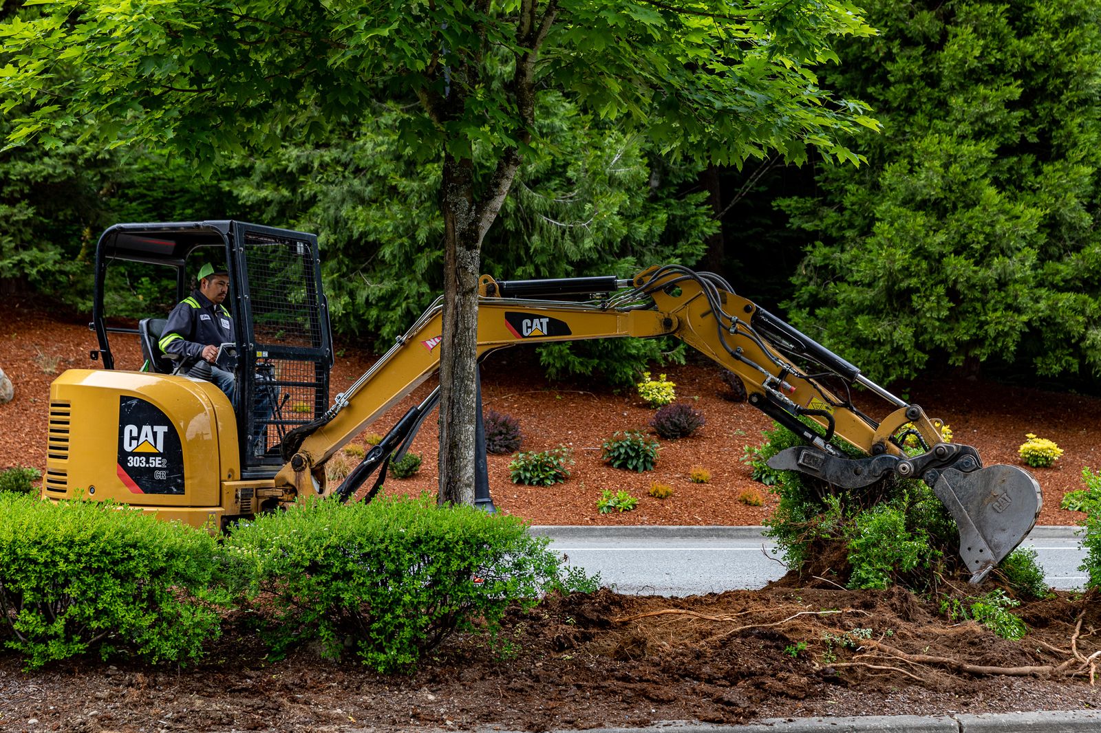 Monarch Landscape Companies Blog