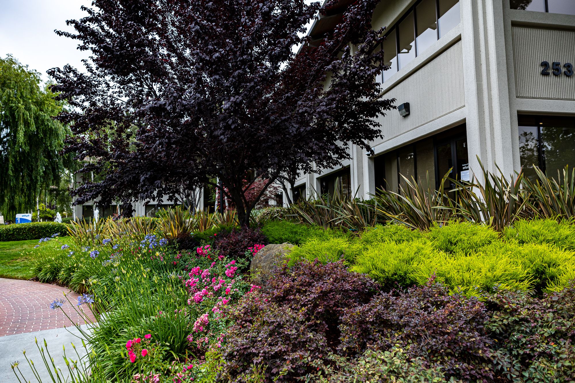 Monarch Landscape Companies Blog