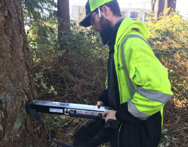 Resistograph Testing Services