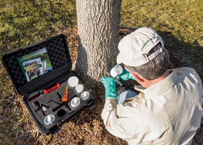 Proven Solutions for Assessing Tree Health | Monarch Landscape