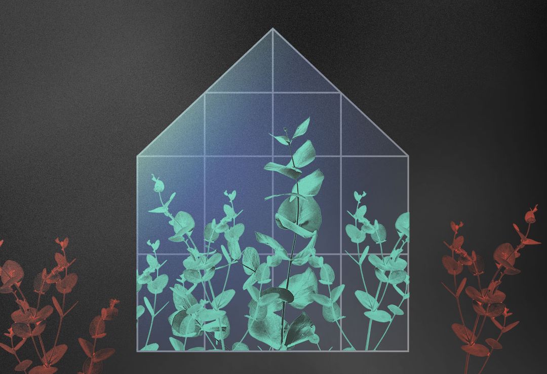 The Language of Design: What is a Visual Identity? | Spectacle Strategy