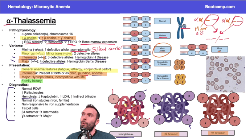 Med School Bootcamp | Ace Med School & Pass Step 1