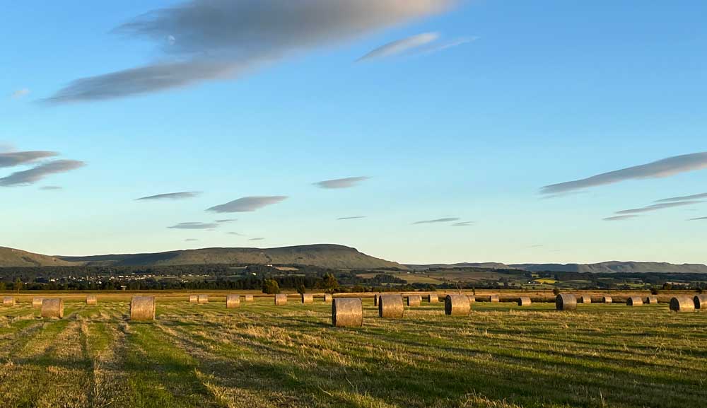 Trade Hub | Scottish Organic Producers Association (SOPA)