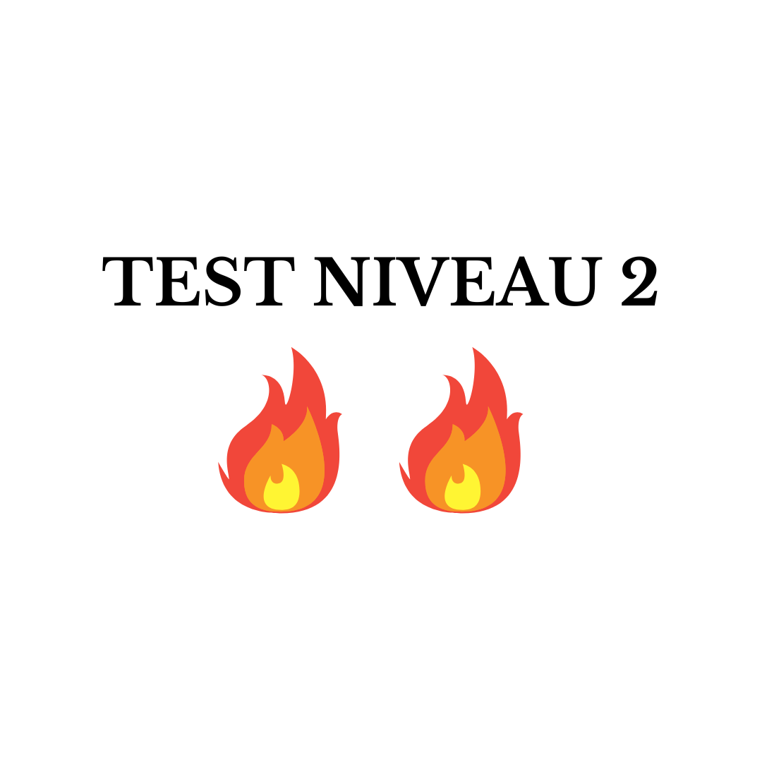 Test d'orthographe niveau 2