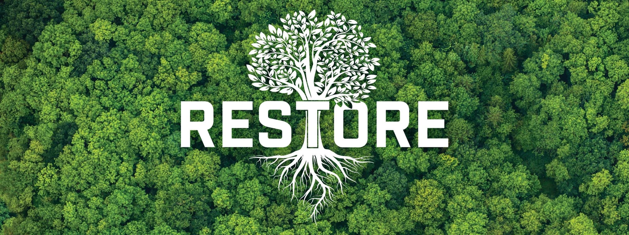Restore
