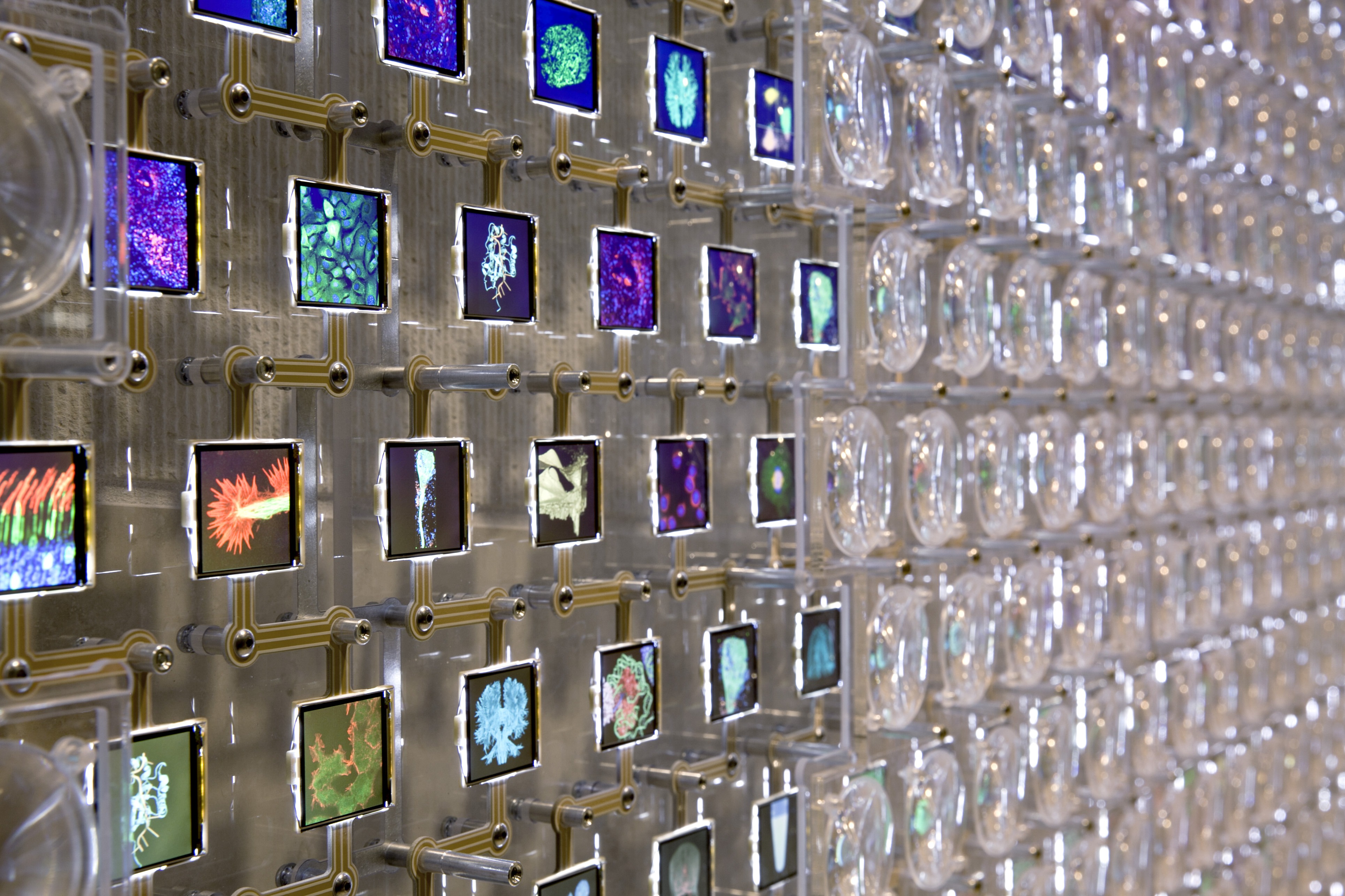 Weill Cornell Medicine