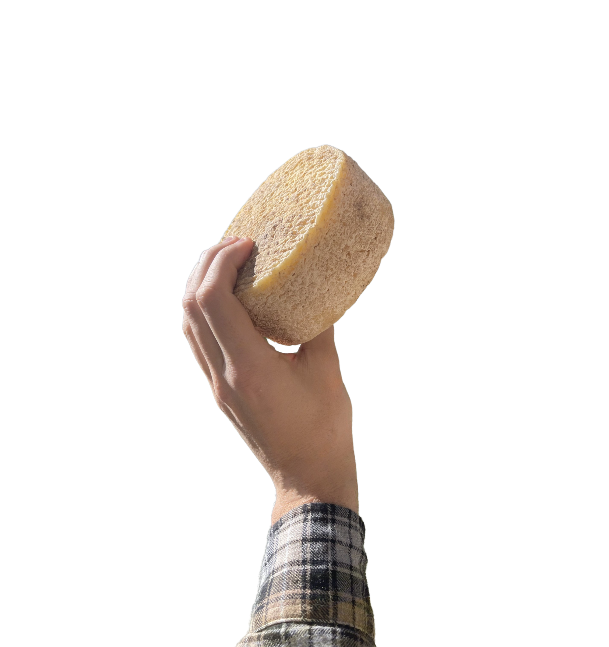 Healthfully Shop: Raw Unsalted Cheese