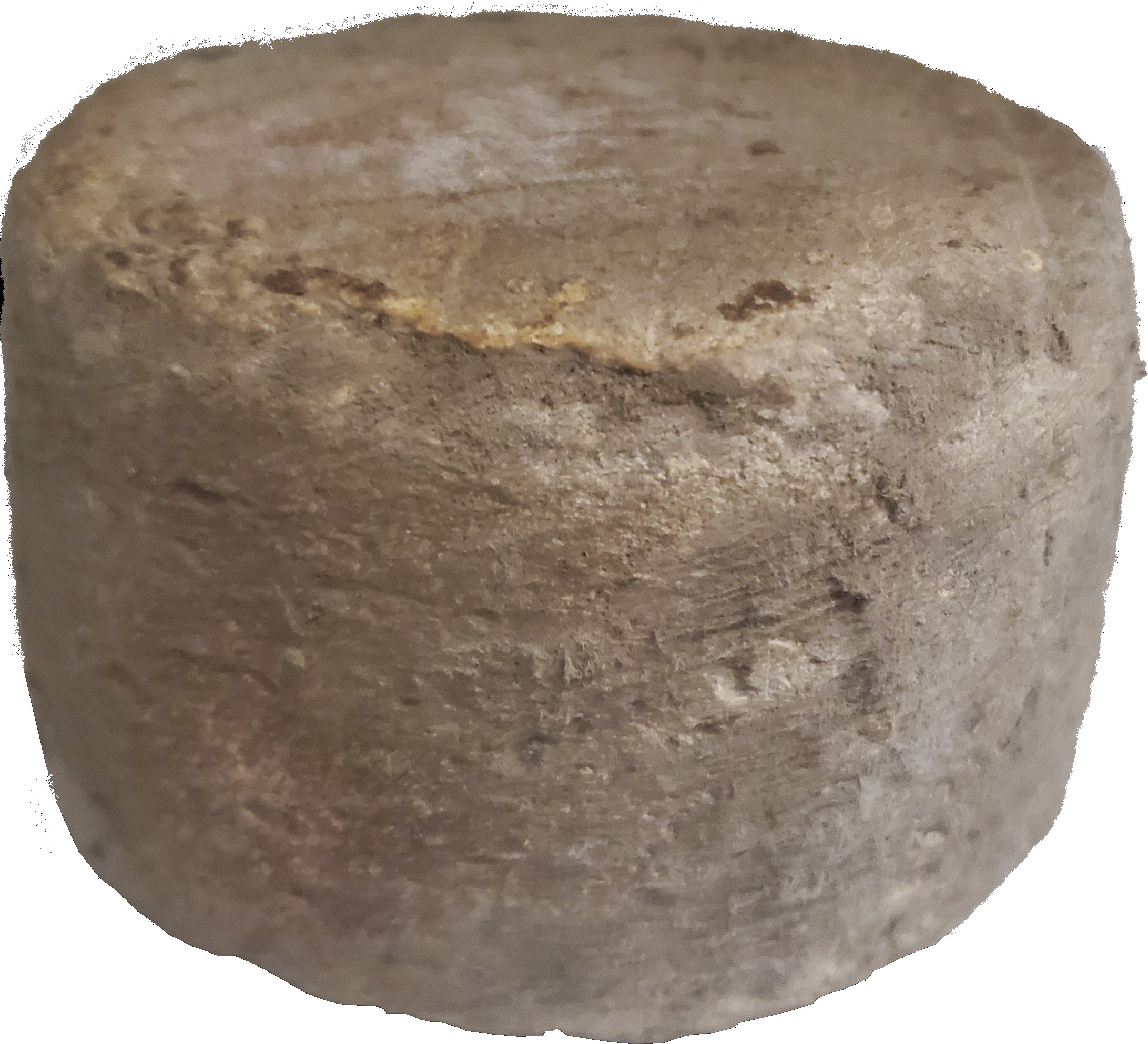 Healthfully Shop: Raw Unsalted Cheese