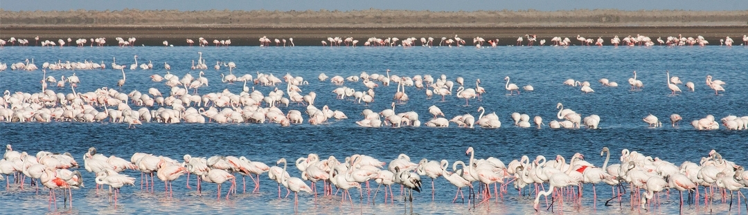 Walvis Bay | Namibia Tours & Safaris
