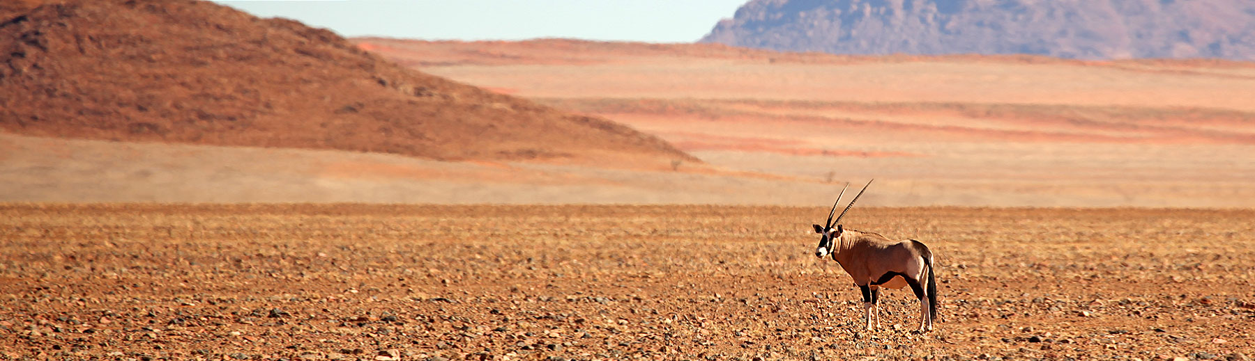 Namibia Environment | Namibia Tours & Safaris