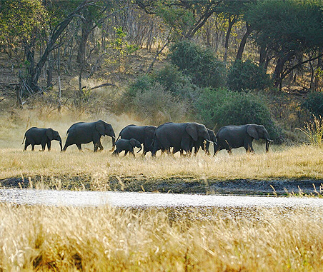 Bwabwata National Park