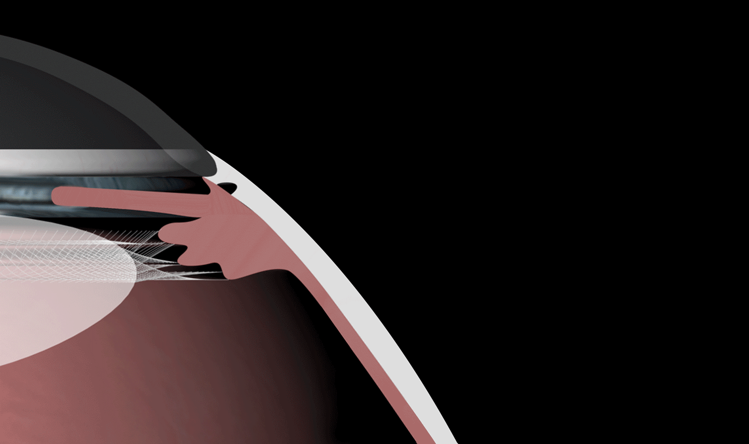 Easy eye anatomy | TACIR Ophthalmological Clinic