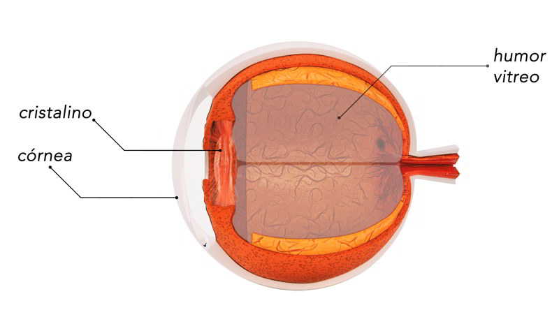 El sol en los ojos ¿Cómo afecta? | Clínica Oftalmológica TACIR