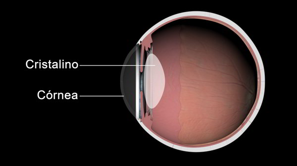 Fotoqueratitis: el lado más oscuro del sol | Clínica Oftalmológica TACIR