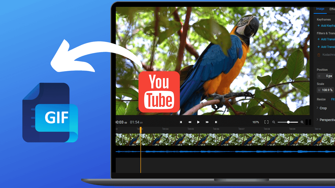 Criador de GIFs do YouTube | Criar GIF a partir de vídeo do YouTube ...