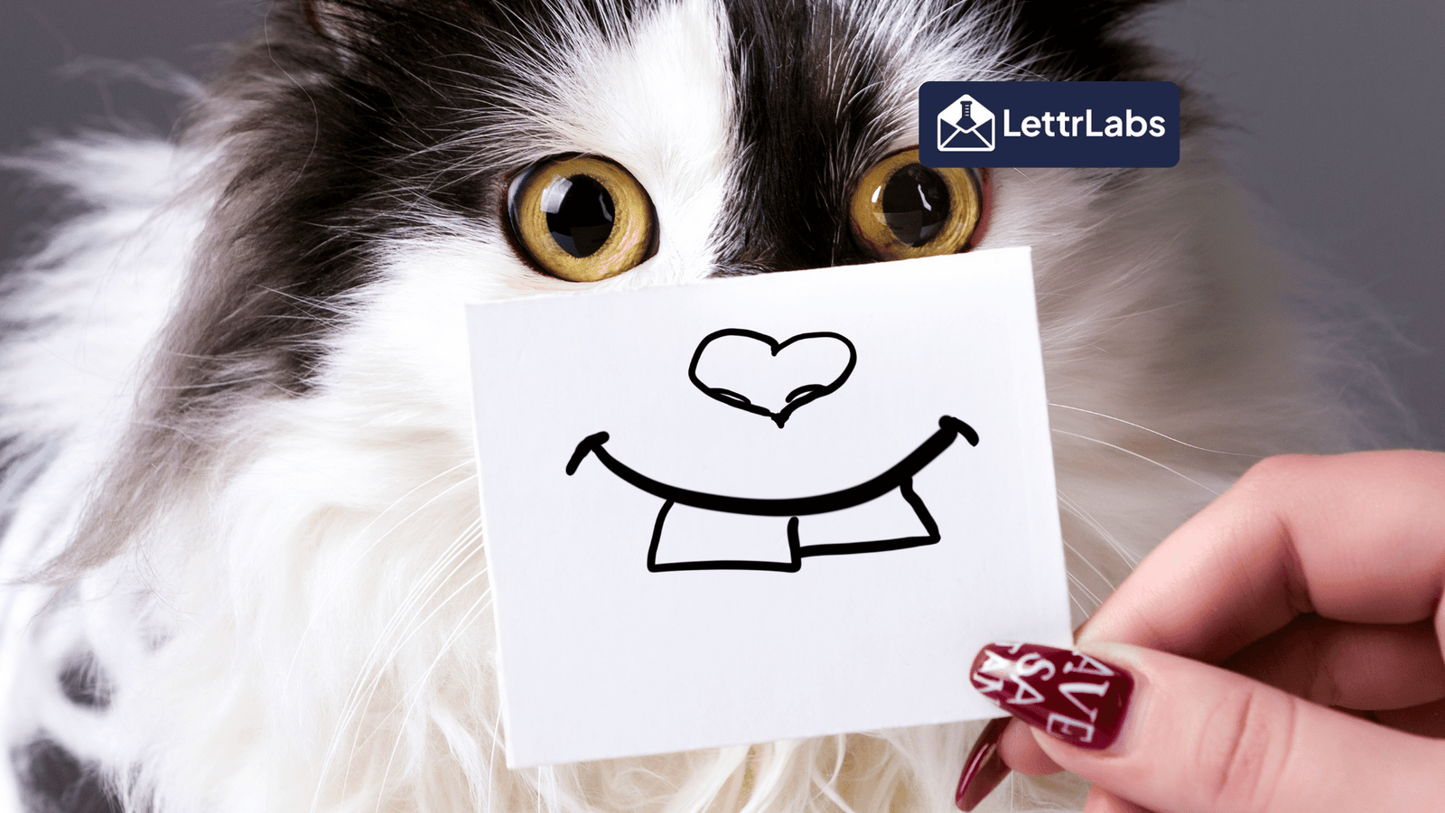 35 Funny Thank You Messages for Greeting Cards | LettrLabs Blog