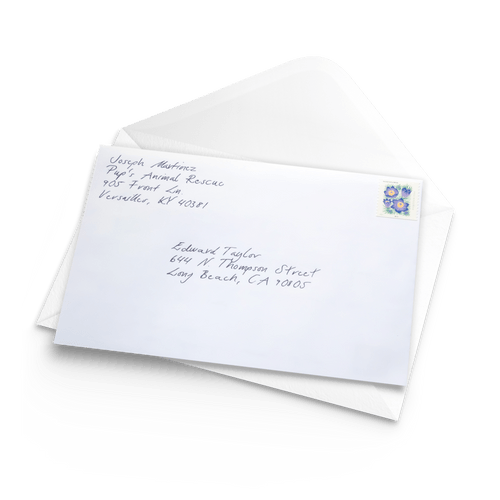 Thank You for Being a Friend, 50 Heartfelt Ways to Show Your Loved Ones ...