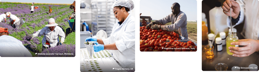 Provenance | Sustainability Communications Technology