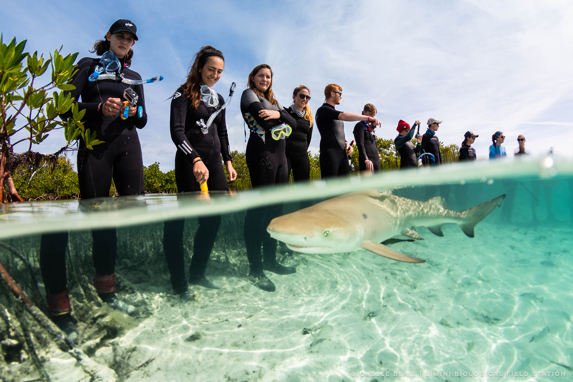 When life gives you Lemons....