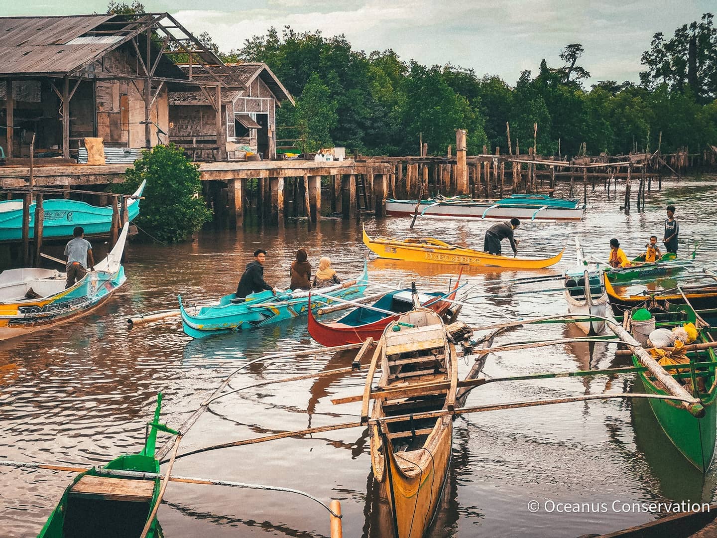 Changing Conservation in the Philippines
