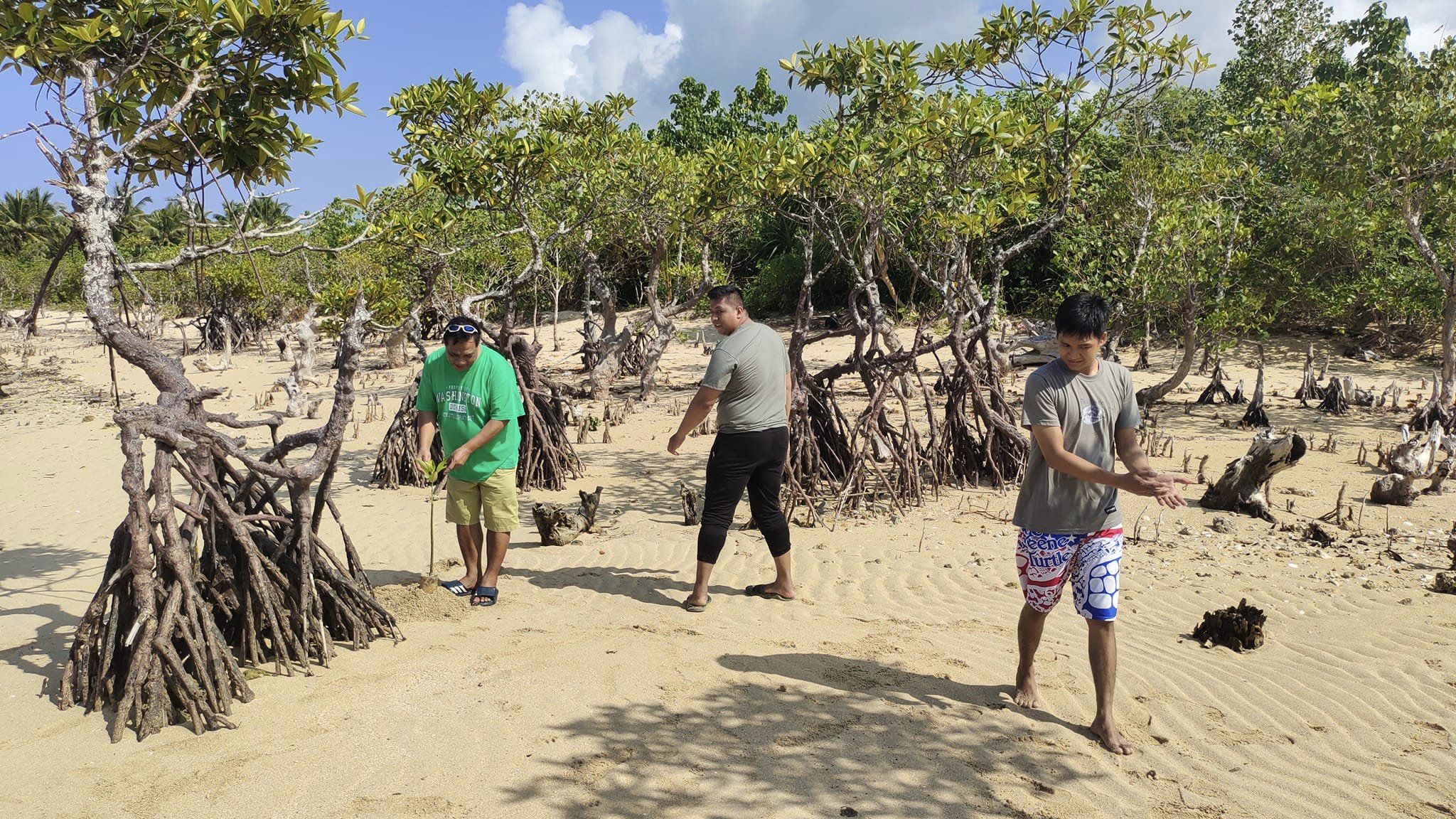 Mangroves And Humans | Mangrove Impacts On Humans – RMGD